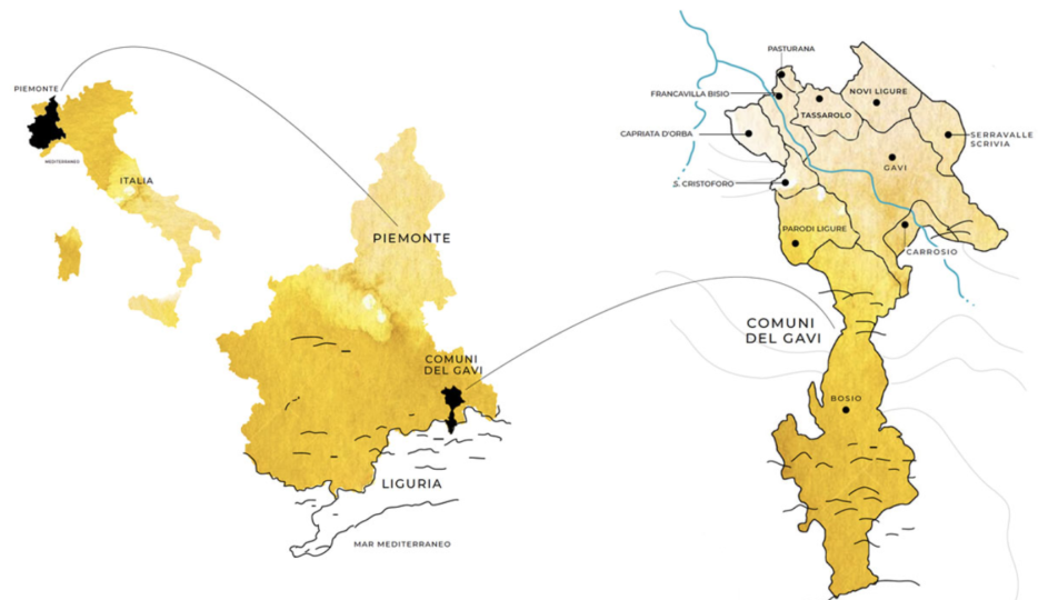 24 hours in Gavi! | The Whalley Wine Shop